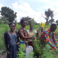 Raising Consciousness About the Challenge of the Congo - Friends of the ...