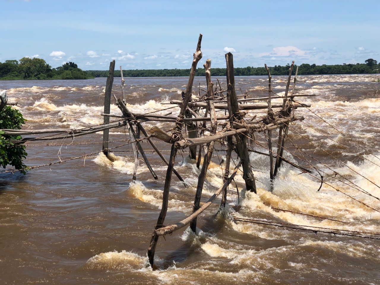 Congo Basin Film - Friends of the Congo