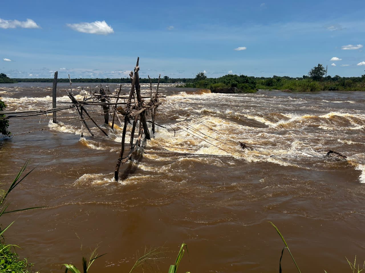 Congo Basin Film - Friends of the Congo